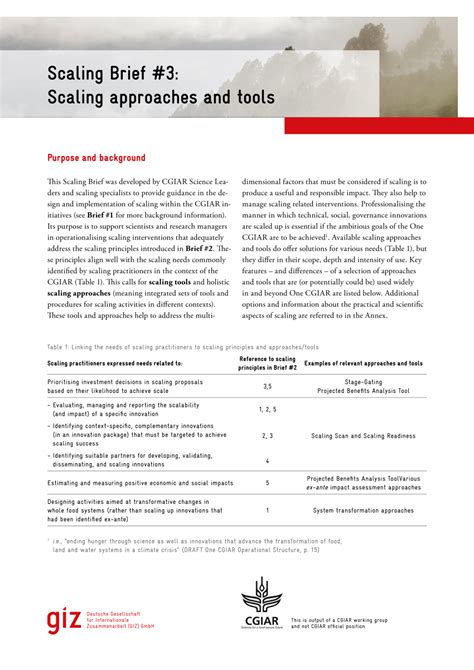 Pdf Scaling Brief 3 Scaling Approaches And Tools