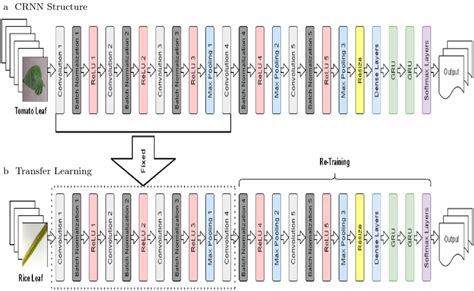 Proposed Model With Transfer Learning Download Scientific Diagram