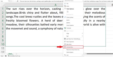 how to adjust line spacing in microsoft excel spreadcheaters