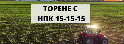 Торене и полезна информация за Тор НПК 15-15-15