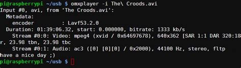 Watching Videos From The Command Line On The Raspberry Pi