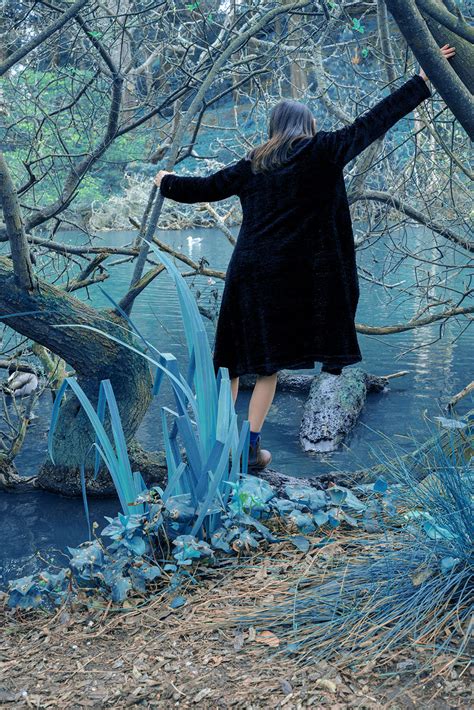 Blink Musings From Wink