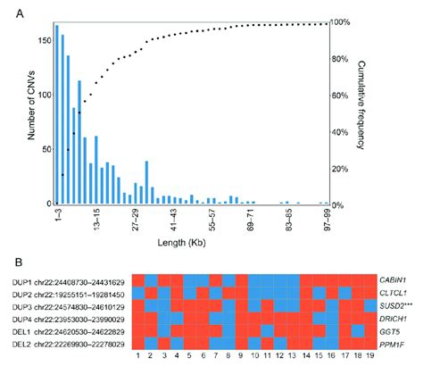 Cnvs Called By Cnvnator A Length Distribution Of Cnv Calls Across 19 Download Scientific