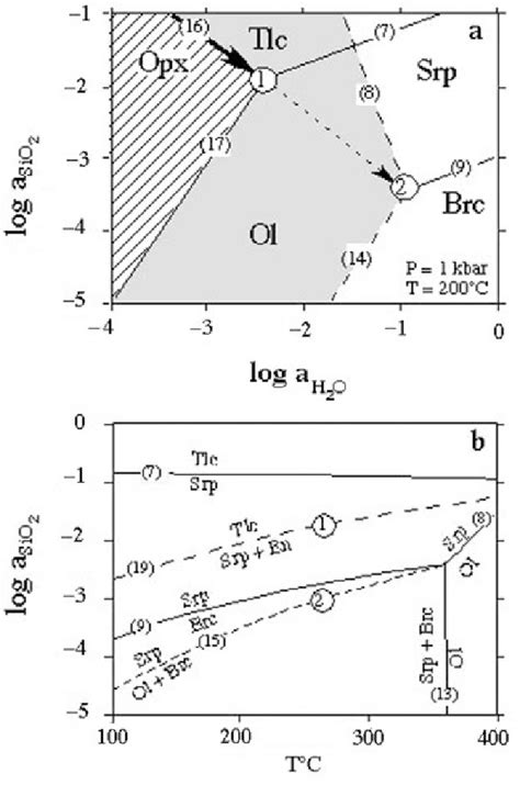 A Log A Sio2 À Log A H2o And B Tlog A Sio2 Diagrams Showing The