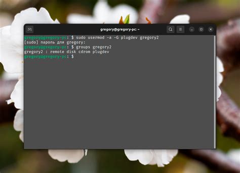 Команда Usermod в Linux Losst