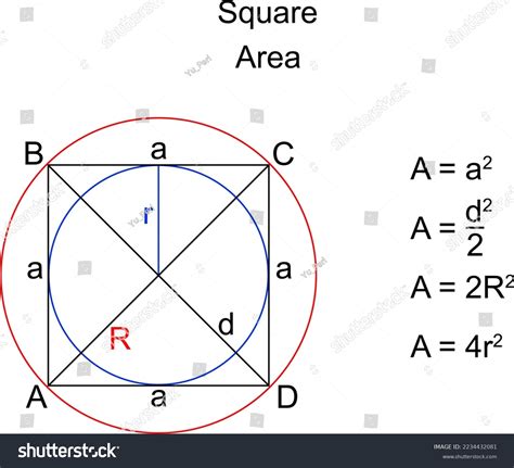 Inscribed Circumscribed Circles About Square Abcd Stock Vector Royalty