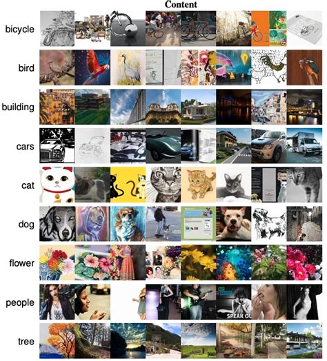 【计算机视觉 图像分类】图像分类常用数据集及其介绍（六）imagenet64 Csdn博客