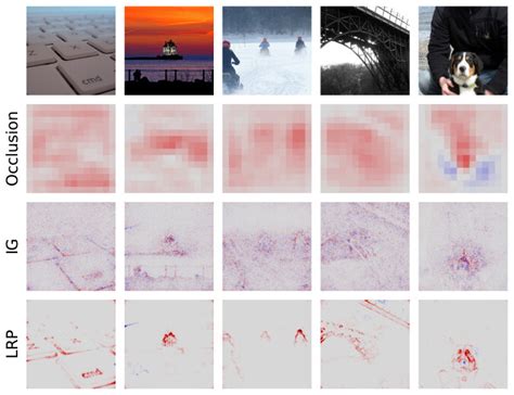 Toward Interpretable Machine Learning Transparent Deep Neural Networks And Beyond DeepAI