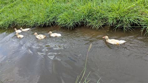 December 2024 Has Been Eventful Around The Farm Youtube