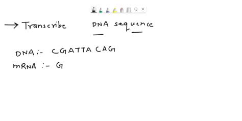 Given A Sequence Of Nucleotides From The Dna Nontemplate Strand Ctcggctatcatgca Transcribe