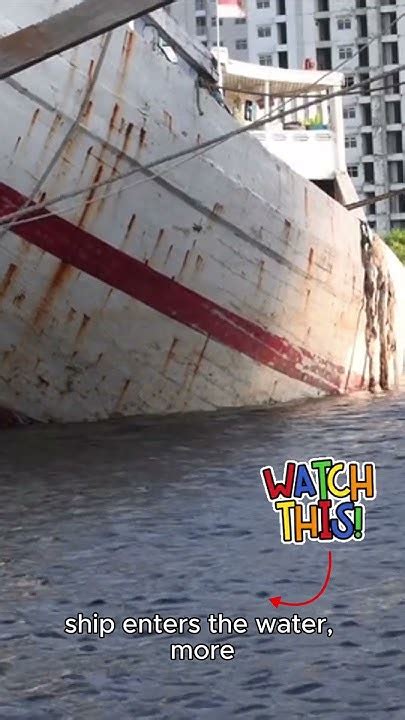 Why Do Ships Float Ytshorts Ship Youtube