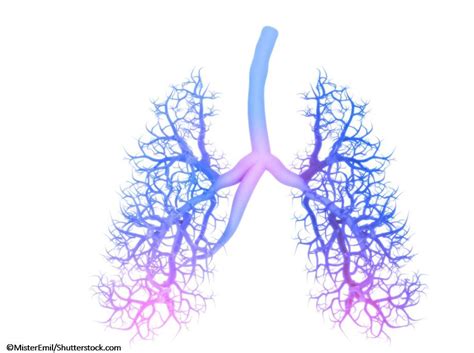 Dupilumab Reduces Asthma Symptoms Improves Lung Function