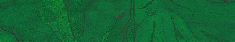 Supporting Hqplantations With Large Scale Consistent Aerial Lidar