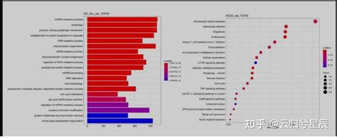 科研人必不可少的chip Seq，尽快收藏 知乎