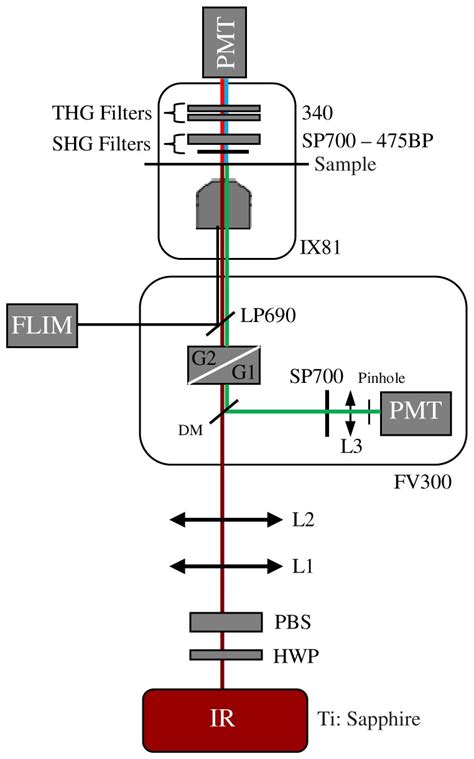 Schematic Representation Of The Multimodal Platform Based On An Download Scientific Diagram