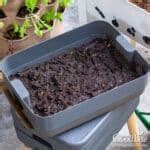 How To Start A Worm Composting Bin