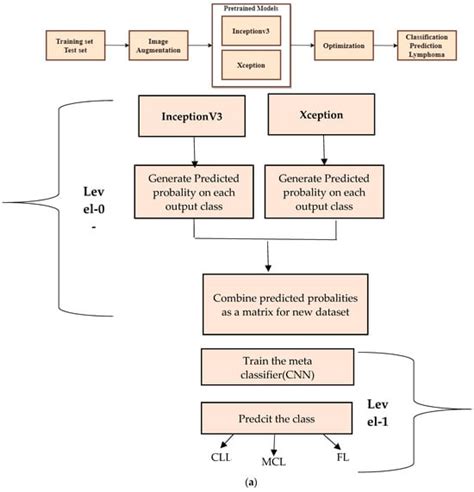 Precisionlymphonet Advancing Malignant Lymphoma Diagnosis Via Ensemble Transfer Learning With Cnns