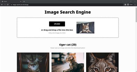 GitHub Raj Pulapakura Image Search Engine Image Search Engine Upload An Image And Find