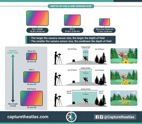 Depth Of Field In Photography Explained The Ultimate Dof Guide