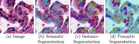 an example of illustrating the difference between semantic