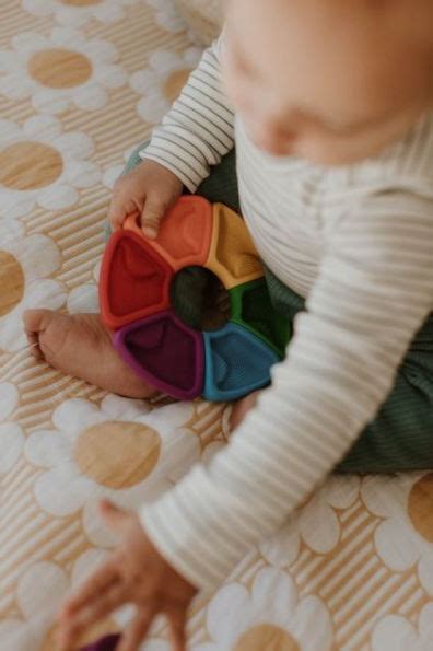 Colour Wheel Rainbow Bright By Jellystone Designs Barnes And Noble®