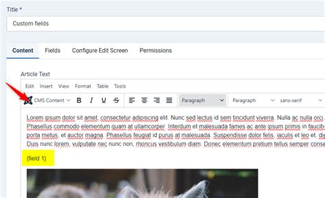 Dj Extensions Tutorials How To Use Custom Fields In Joomla 4