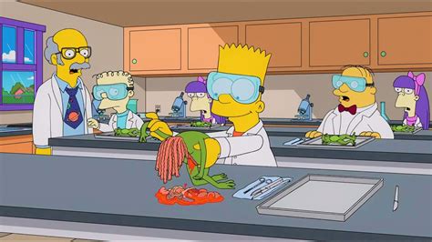 El Experimento De Bart Los Simpson Capitulos Completos Youtube
