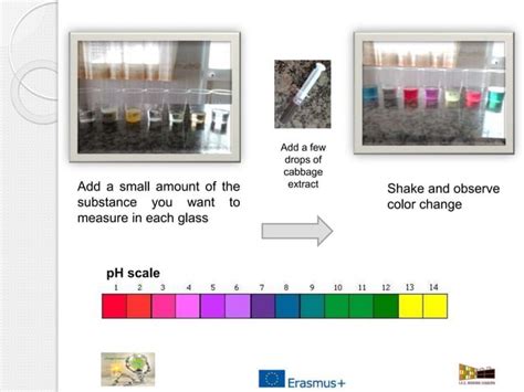 Ph Measurement With A Homemade Indicator Pptx Chemistry Science