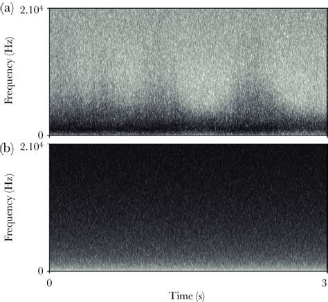 Frequency Spectrograms Showing The Temporal Structural And Frequency