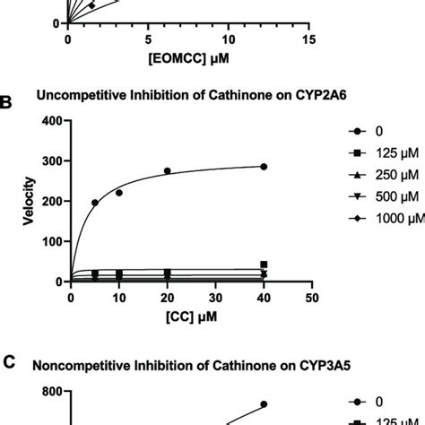 The Nonlinear Regression Enzyme Kinetics Graphs Were Plotted By Using Download Scientific