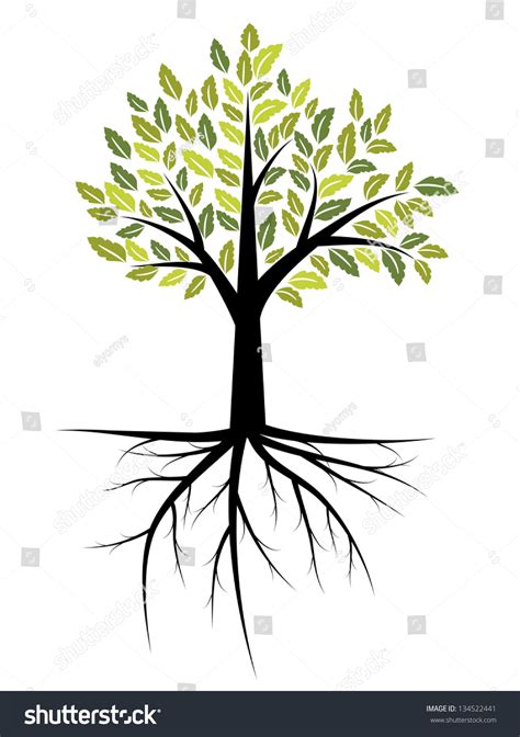 Tree With Roots Stock Vector 134522441 Shutterstock