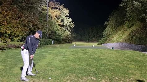 우리동네 성님 아이언 샷 골프존 화랑 Youtube