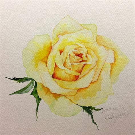 이 밤이 다 가기전에🌙 장미 노란장미 그리기 그림 꽃그림 수채화 감성수채화 수채일러스트 수채화일러스트 물맛 힐링 취미 일러스트