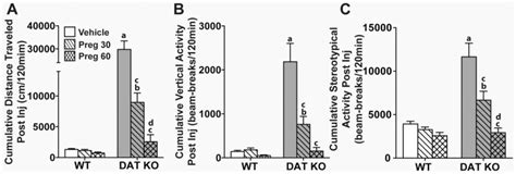 Ac Cumulative Distance Traveled A Cumulative Vertical Activity Download Scientific