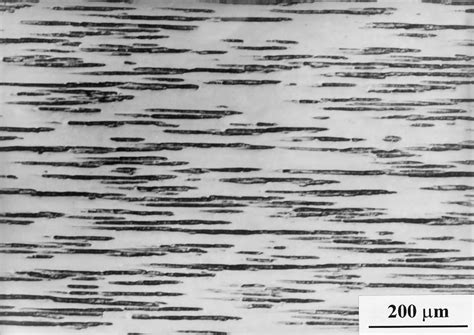 Optical Micrograph Of 15 Vol Pct Tibwti Composite Showing The