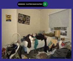 CLUTTER IMAGE RATING SCALE Carlton Thomas