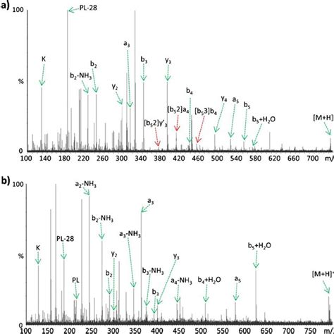 Comparison Of Qtof Ms Ms Spectra Resulting From A Cid Of [m H] Download Scientific Diagram