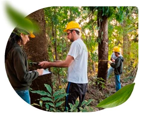 Planos Programas e Monitoramento Ambiental Resedá Engenharia Ambiente