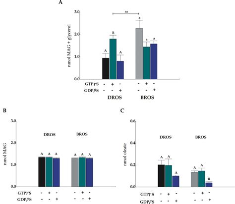 Dagl And Lpap Activities In Ros Incubated With Gtpγs And Gdpβs Ros
