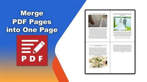 How To Merge PDF Pages Into One Page In PDF XChange Editor First Page Merge Pdf