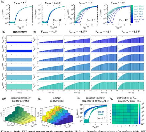Figure 3 From An All In One Bioinspired Neural Network Semantic Scholar