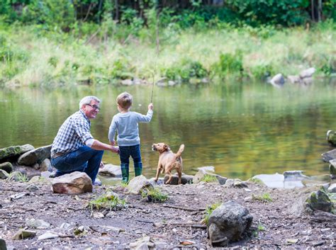 Our Technology Firefly Neuroscience