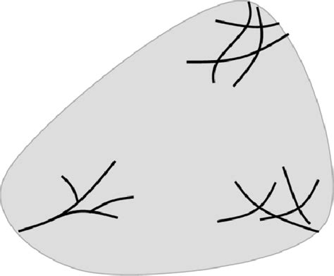 a domain with multiple localization regions download scientific diagram
