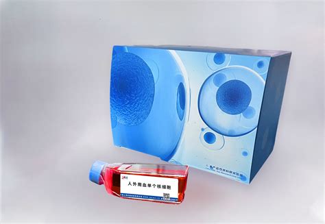 人外周血单个核细胞 金少源 上海 生物科技有限公司