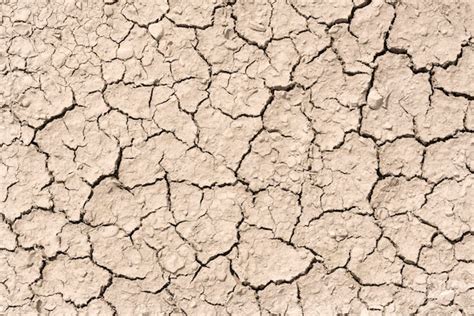 Premium Photo Gray Cracked Soil Background