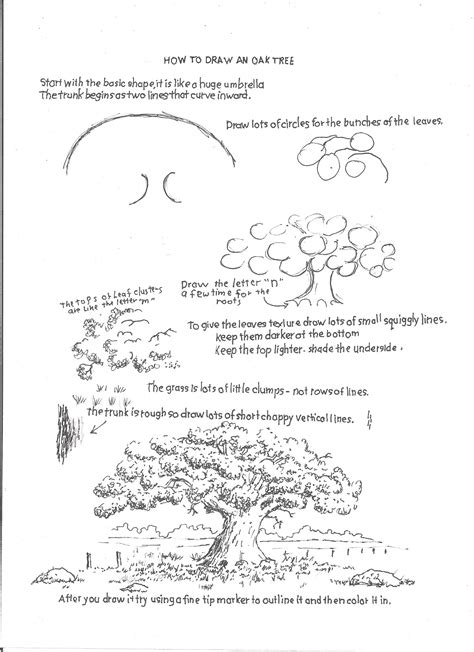 How To Draw Worksheets For The Babe Artist How To Draw An Oak Tree Drawing Worksheet For