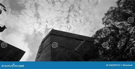 Outdoor View Of The De Young Museum In San Francisco California Usa In
