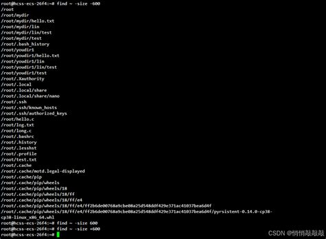Linux 基本指令二 Csdn博客