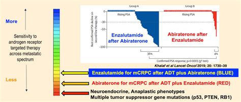 Eau 2025 My Algorithm For Decision Making In Mcrpc