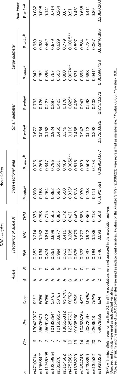 Results Of The Association Analysis Between Snp Genotypes And Hair Download Table